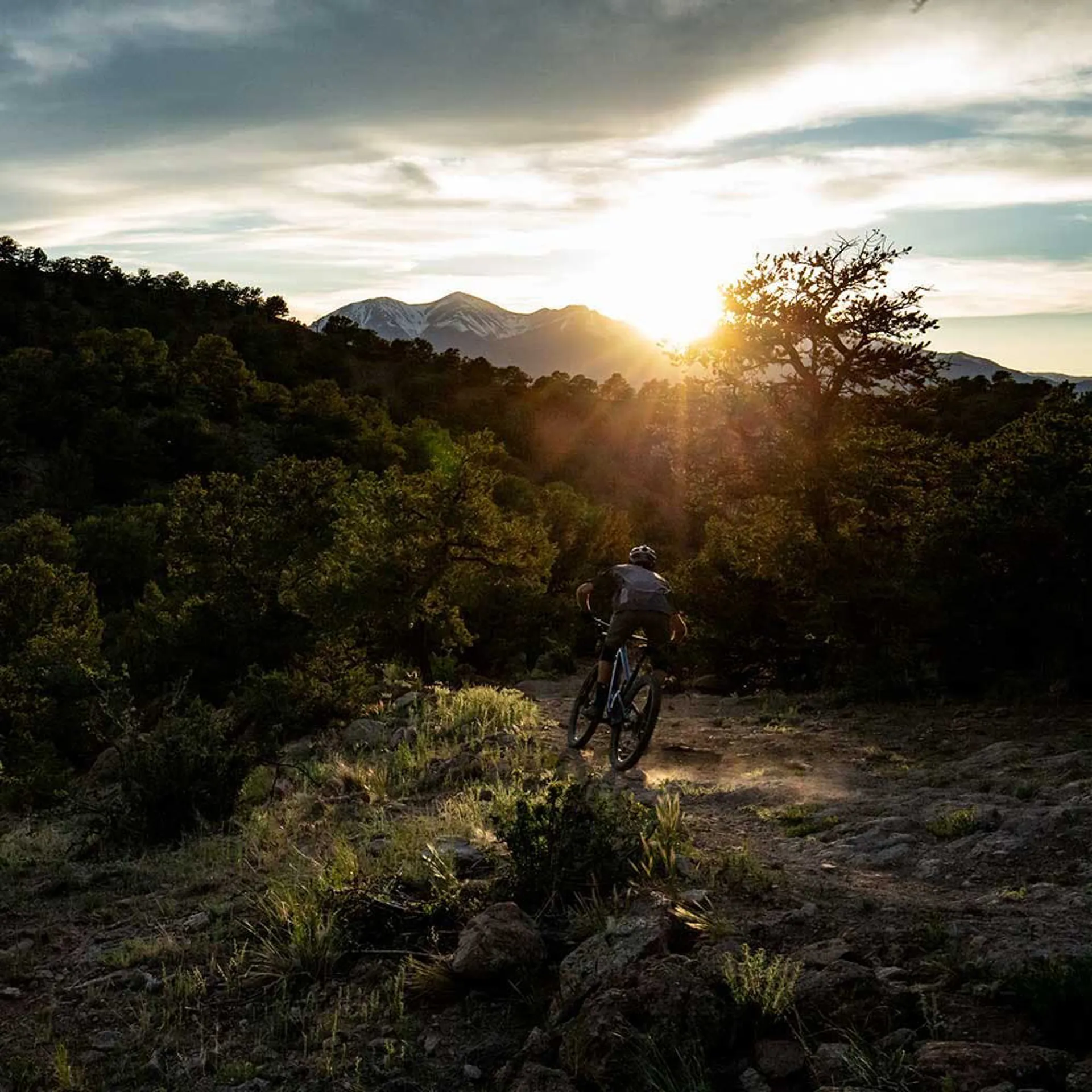 Santa Cruz Hightower C R Model - 2022 - Melon